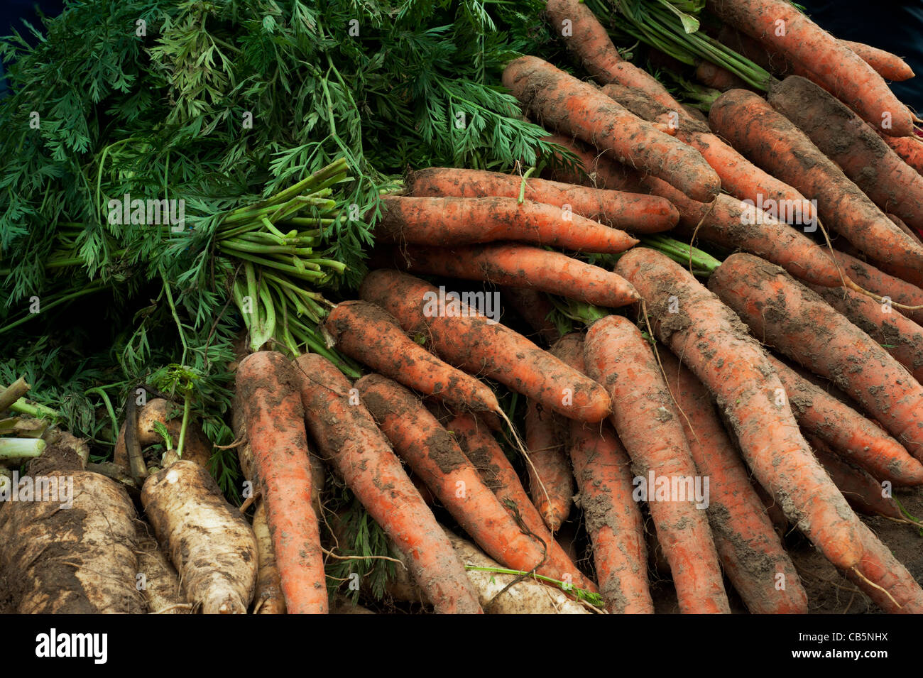 Galway market hi-res stock photography and images - Alamy