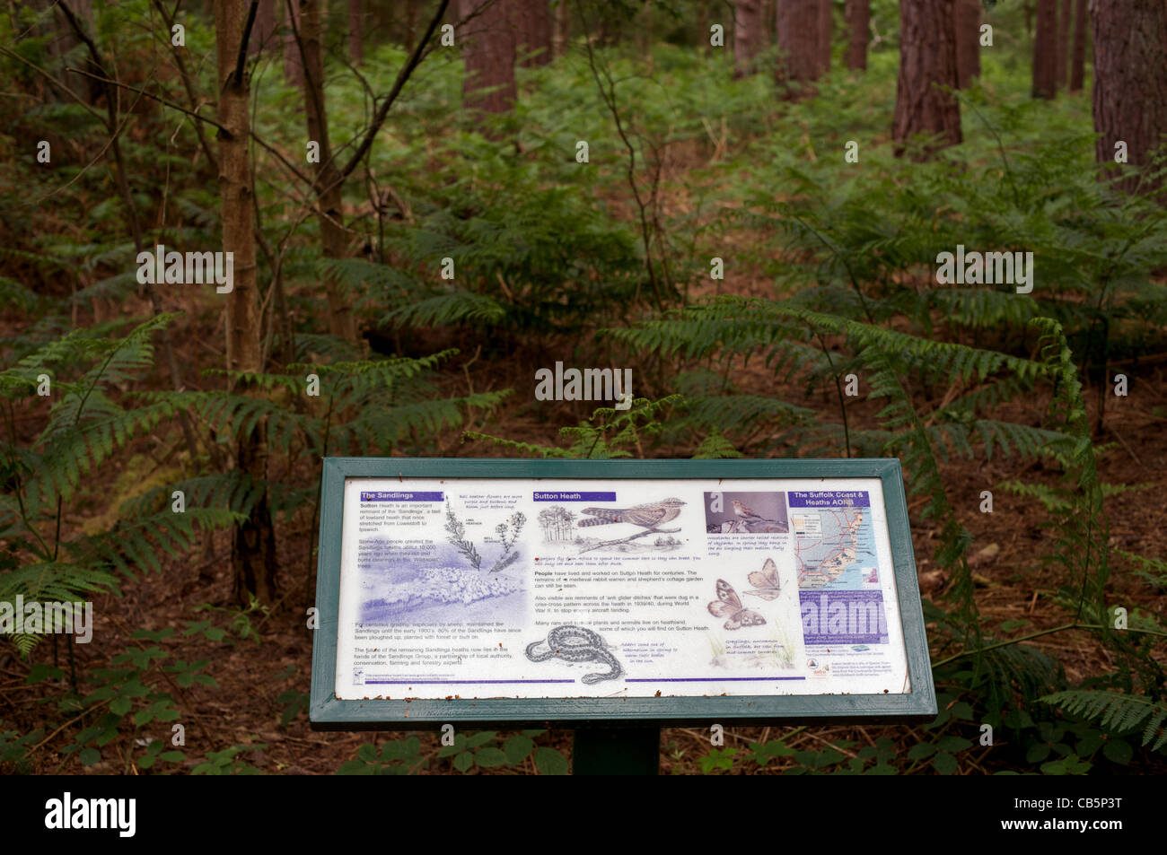 Information board uk woodland hi-res stock photography and images - Alamy