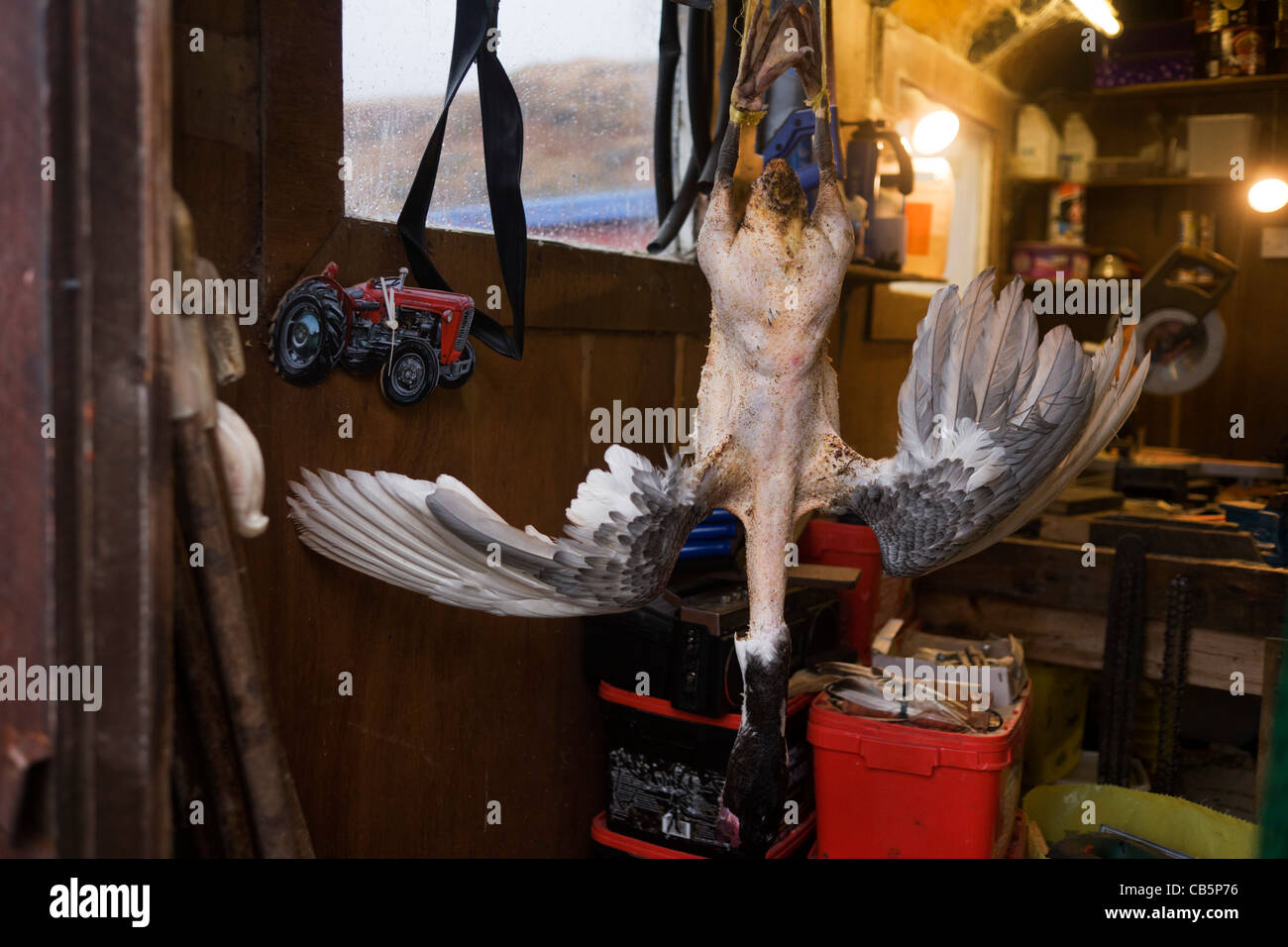 Hanging goose at Sarah Leggitt's estate cottage, a former Smithy now ...