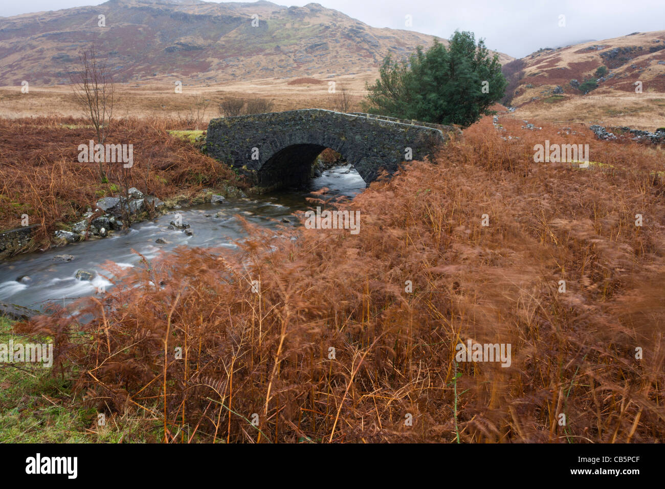 Scottish Stone Bridge High Resolution Stock Photography and Images - Alamy