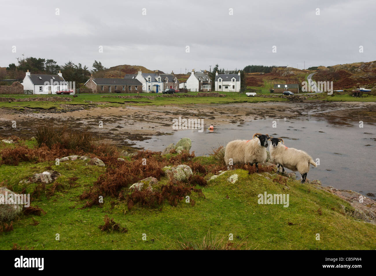 Cottages and homes in remote bay at Kintra, Isle of Mull, Scotland ...