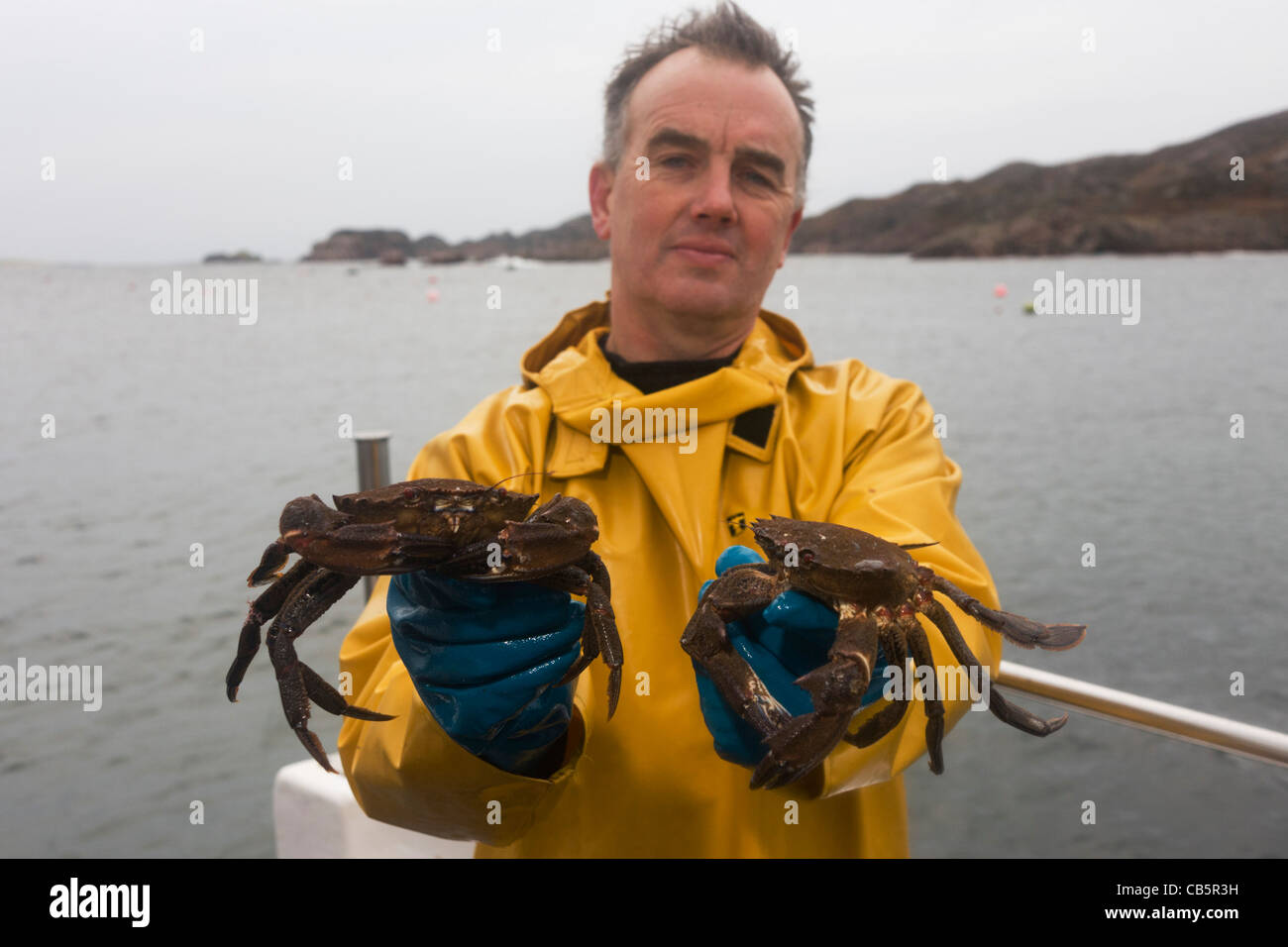 Scottish crab hi-res stock photography and images - Alamy