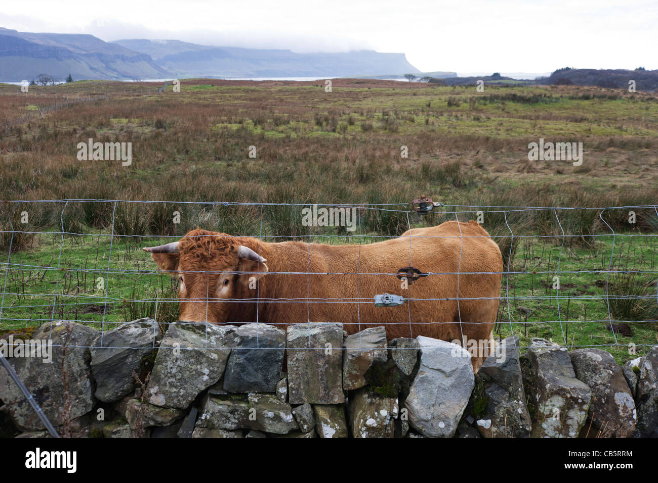 Stone wall fencing hi-res stock photography and images - Alamy
