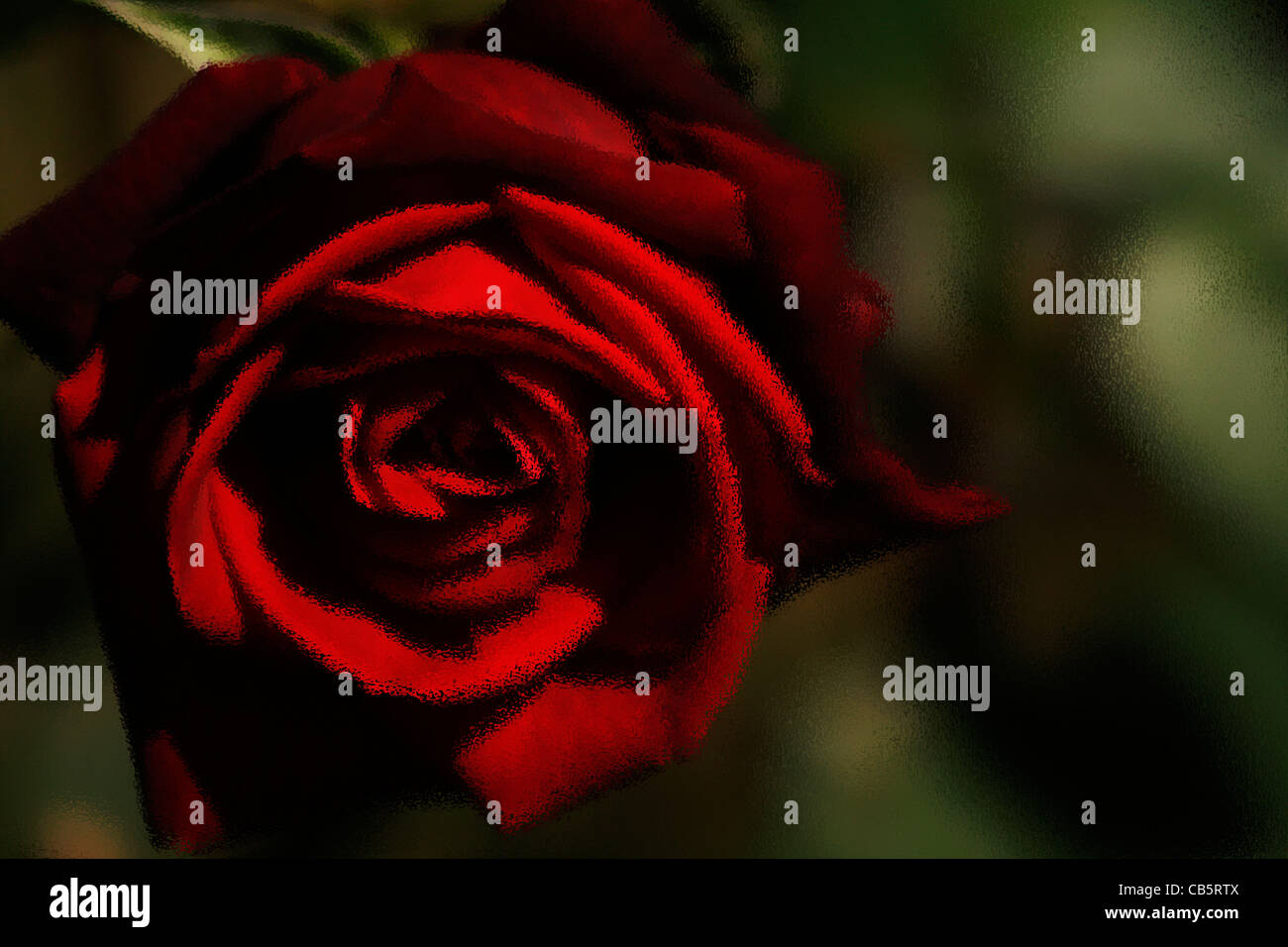Stylized " Red Rose Stock Photo - Alamy