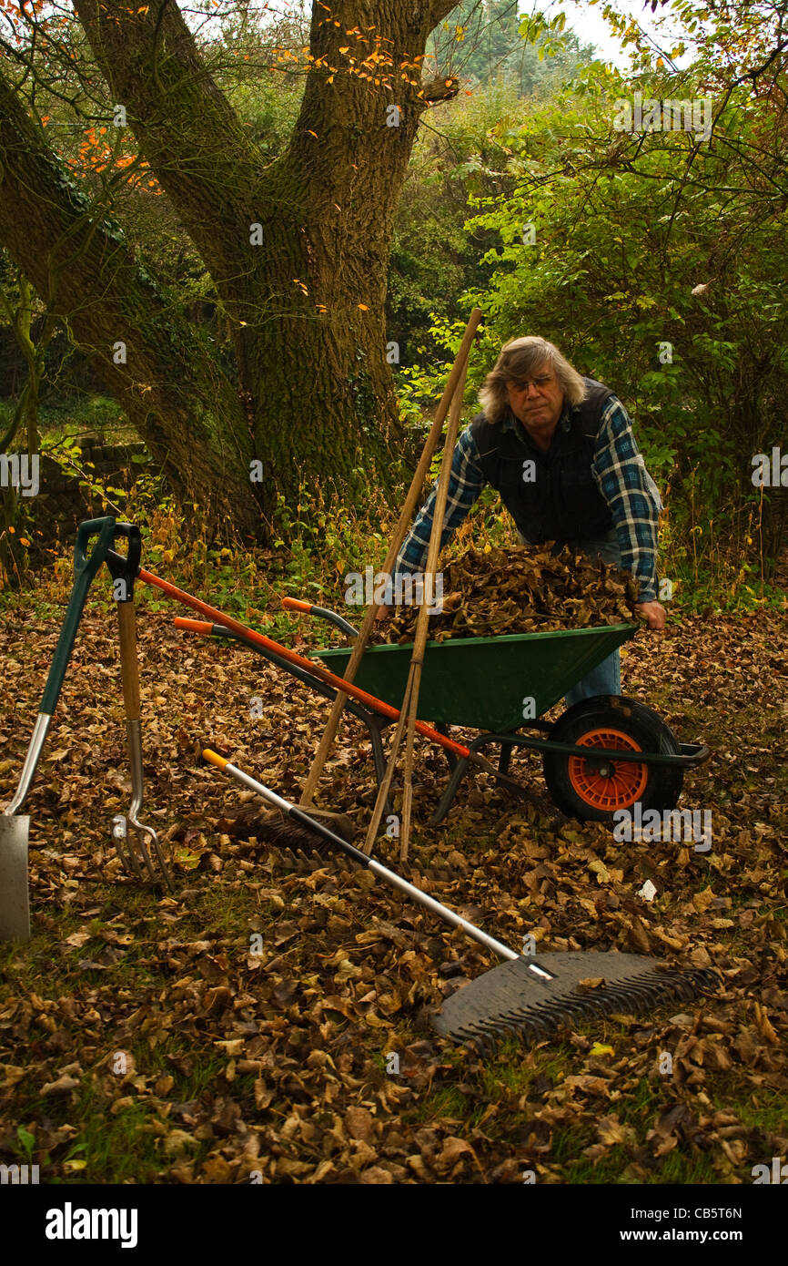Start of leaves hi-res stock photography and images - Alamy