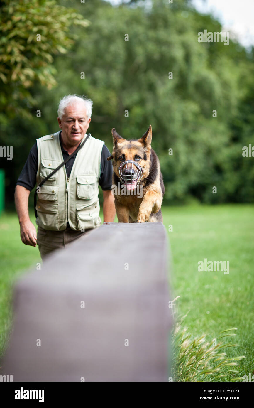 Master and his obedient (German Shepherd) dog at a dog training center ...