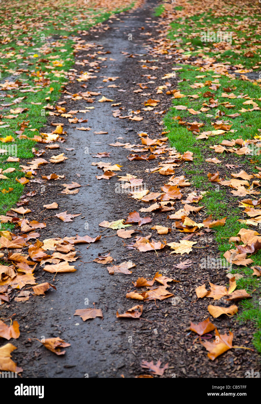 Trodden hi-res stock photography and images - Alamy