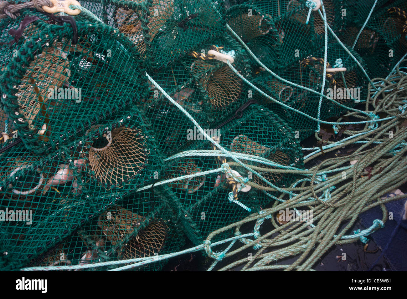 25 empty creels (containing a fish bait) soon to be filled with Velvet ...