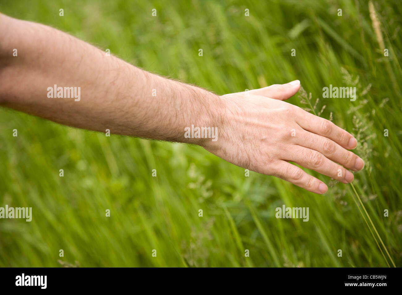 clear concept ,special toned photo f/x, selective focus on hand Stock ...