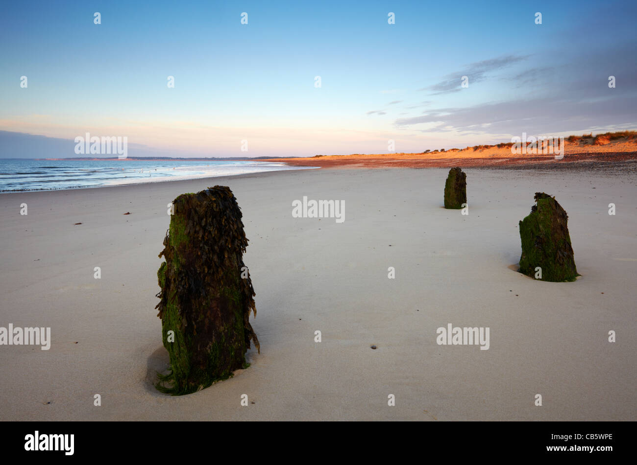 Walberswick beach on the Suffolk Coast Stock Photo - Alamy