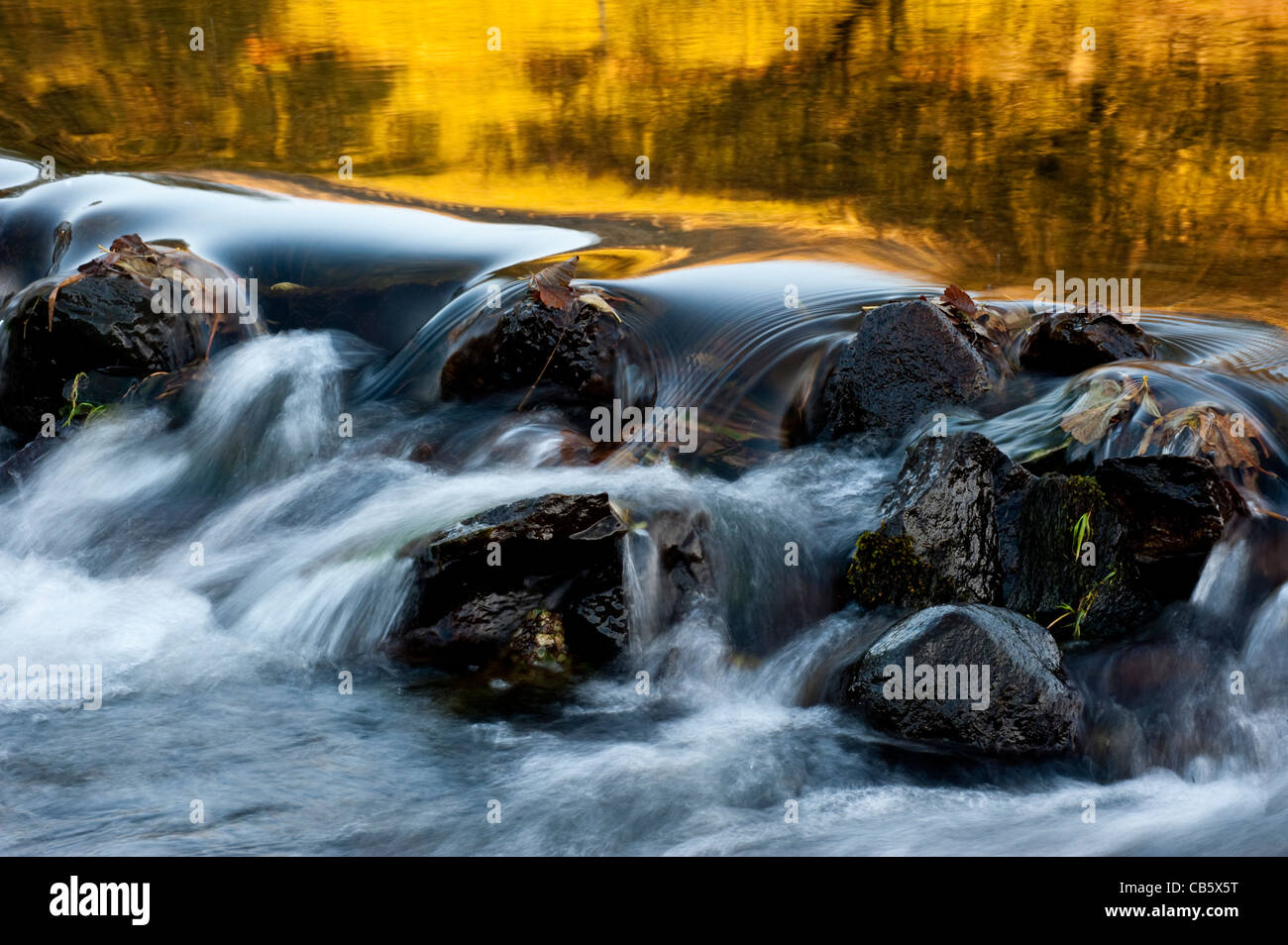 Fast flowing mountain stream in Autumn Stock Photo - Alamy