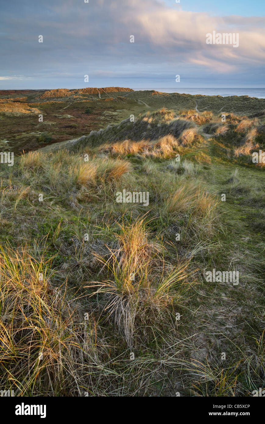 Winterton On Sea Norfolk Dunes High Resolution Stock Photography and ...
