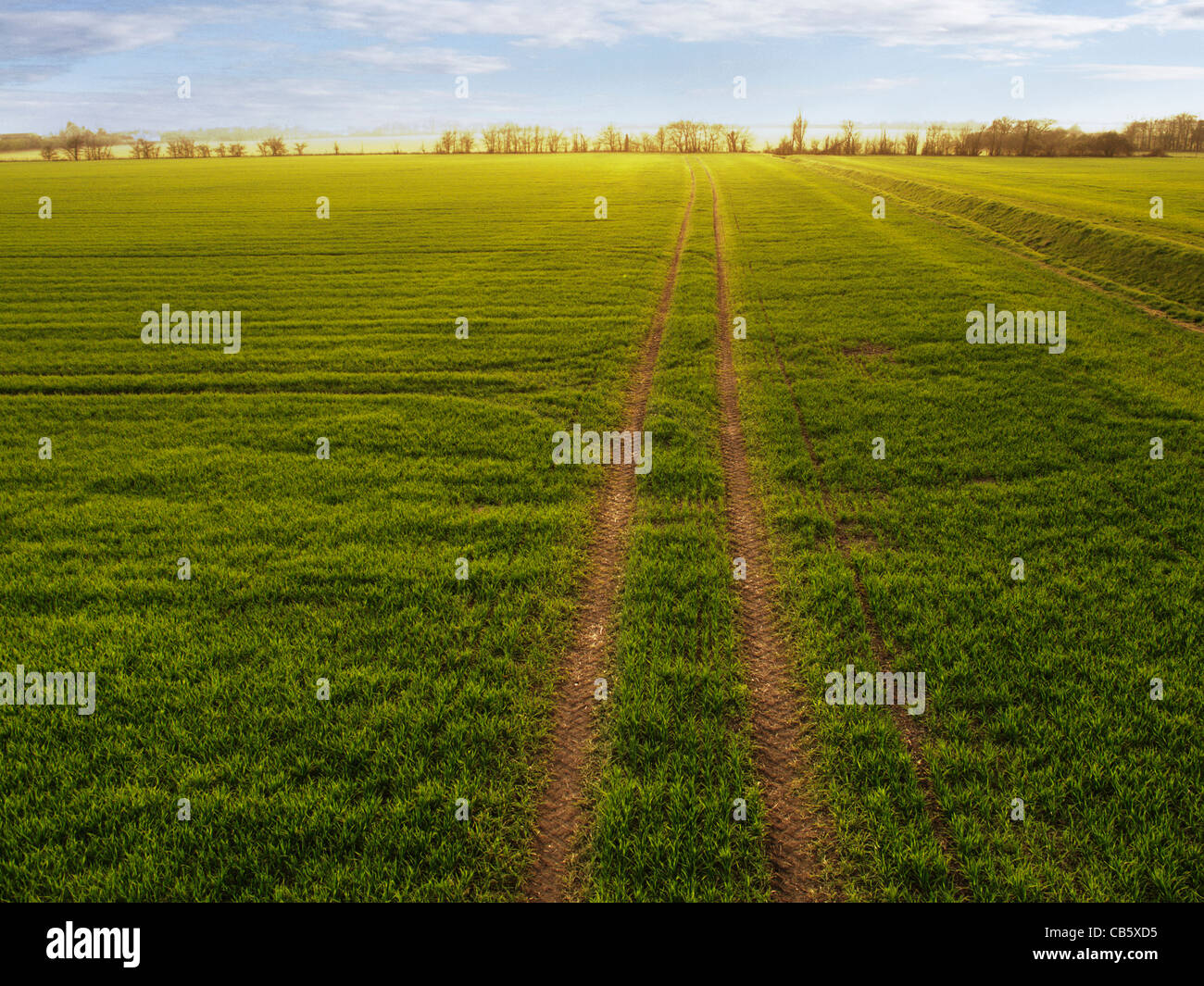 green landscape images of farm fields in england uk Stock Photo - Alamy
