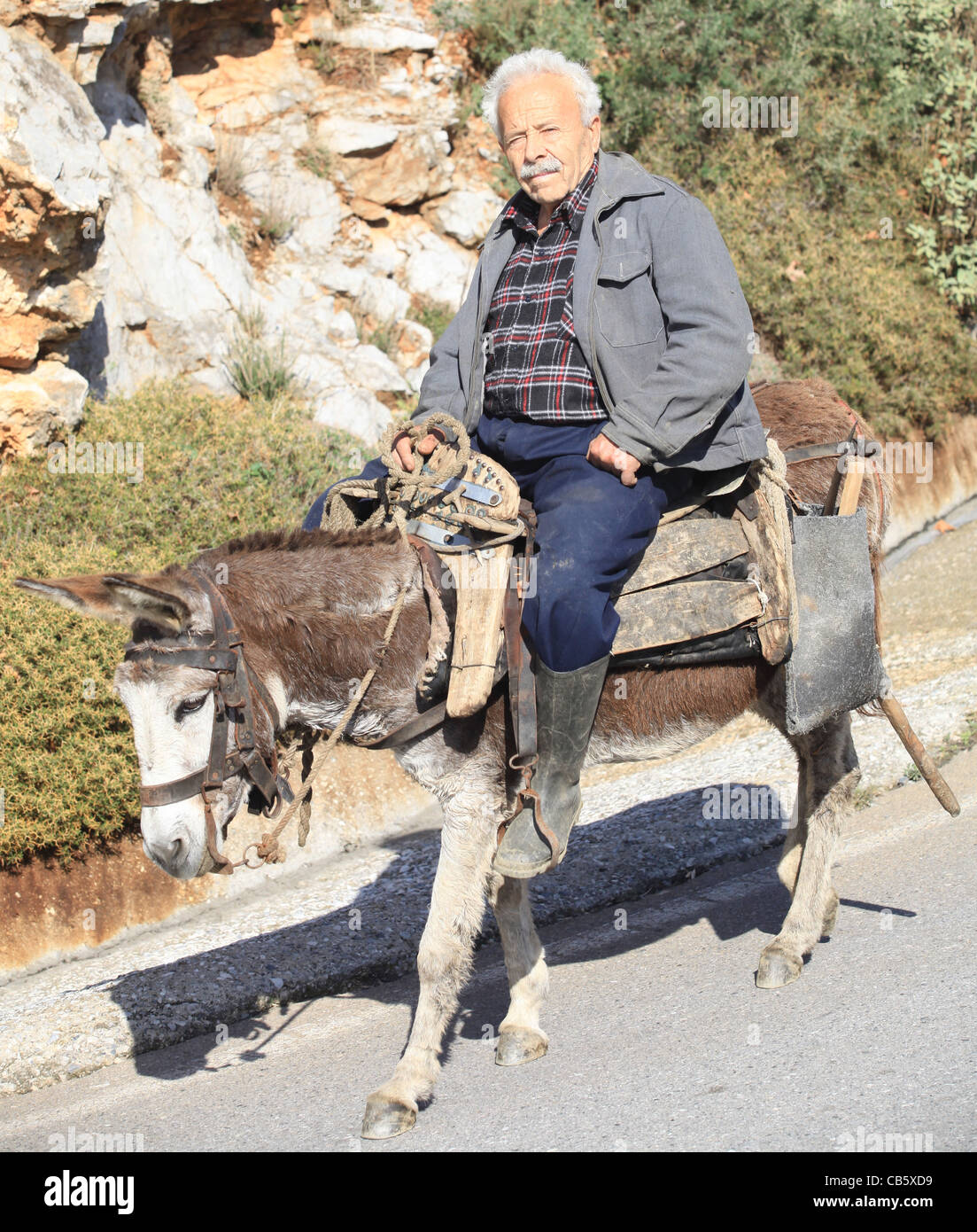Donkey in the mountains hi-res stock photography and images - Alamy