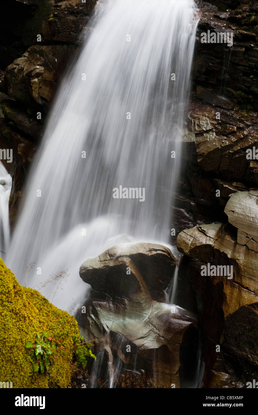 Nooksack Falls is a waterfall along the North Fork of the Nooksack ...