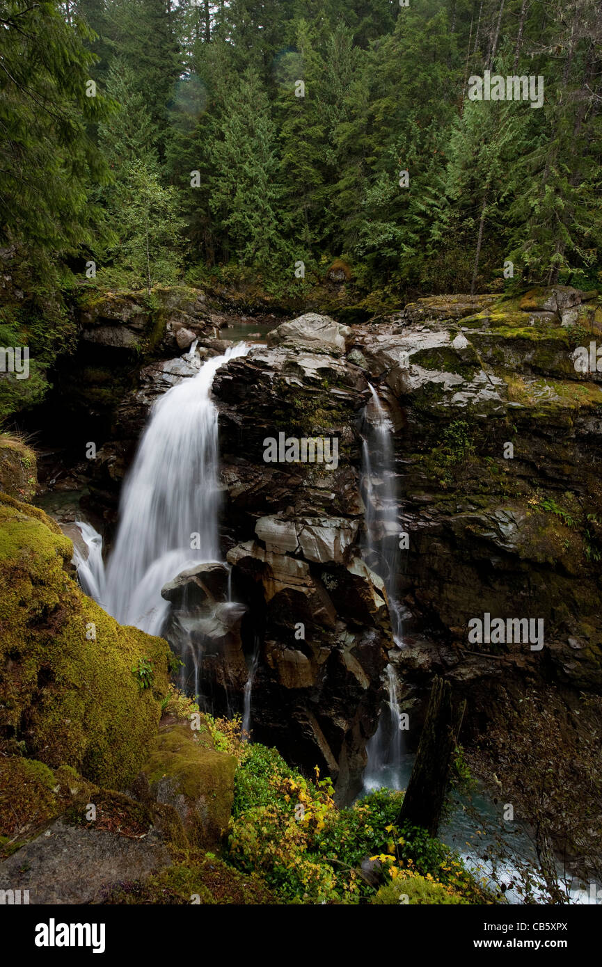 Nooksack Falls is a waterfall along the North Fork of the Nooksack ...