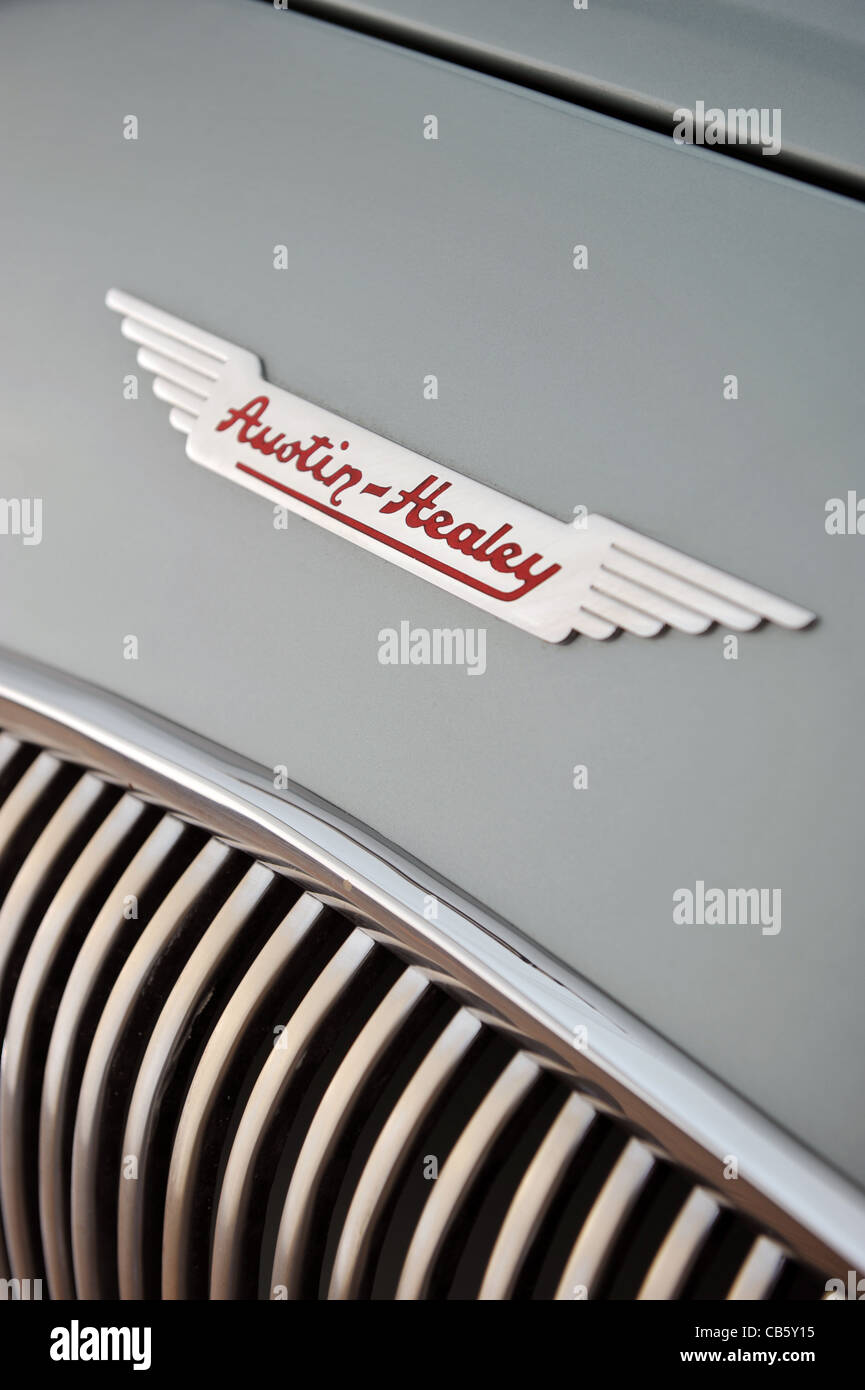 1953 Austin Healey 100 pre production prototype, the ex Turin motorshow ...