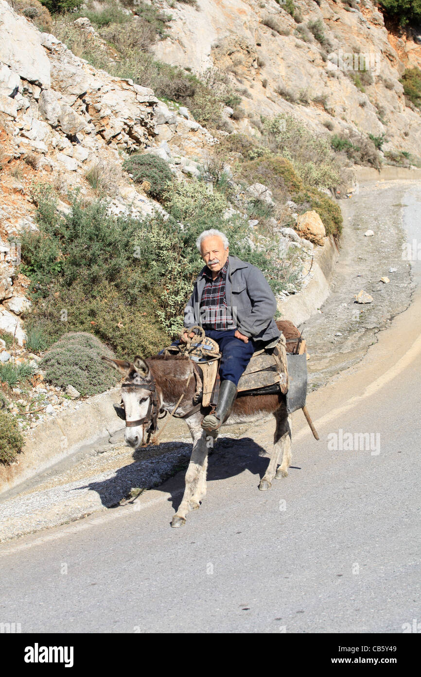 Donkey in the mountains hi-res stock photography and images - Alamy