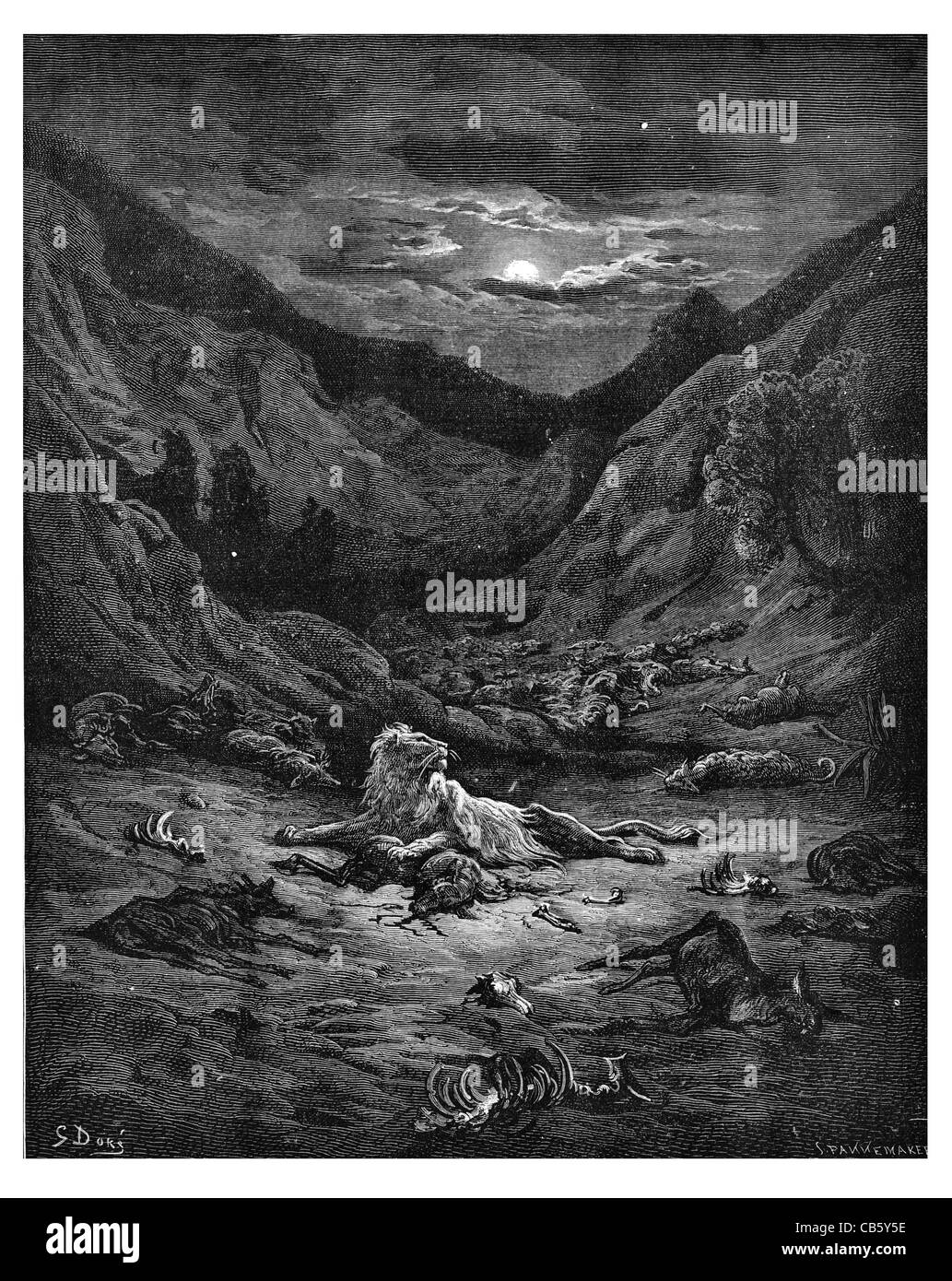 Lion predator prey killed kill blood gore skeleton dead death beast ...