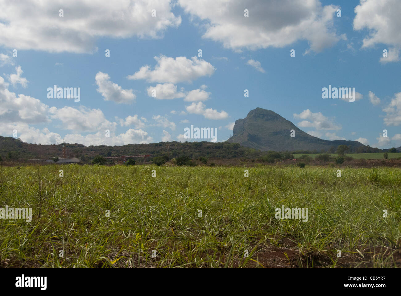 Island of Mauritius. Rugged volcanic countryside with typical sugar ...