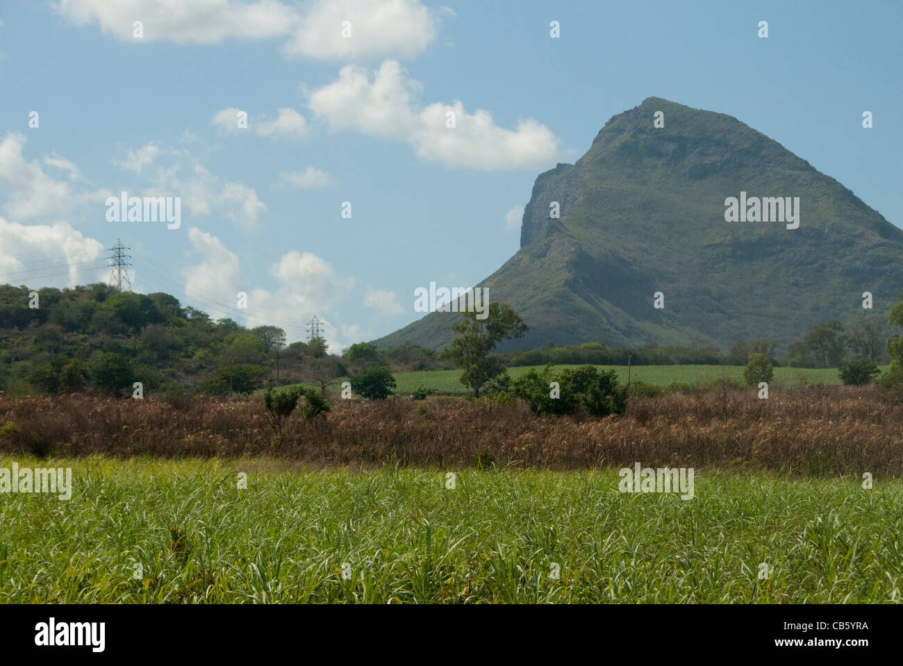 Island of Mauritius. Rugged volcanic countryside with typical sugar ...