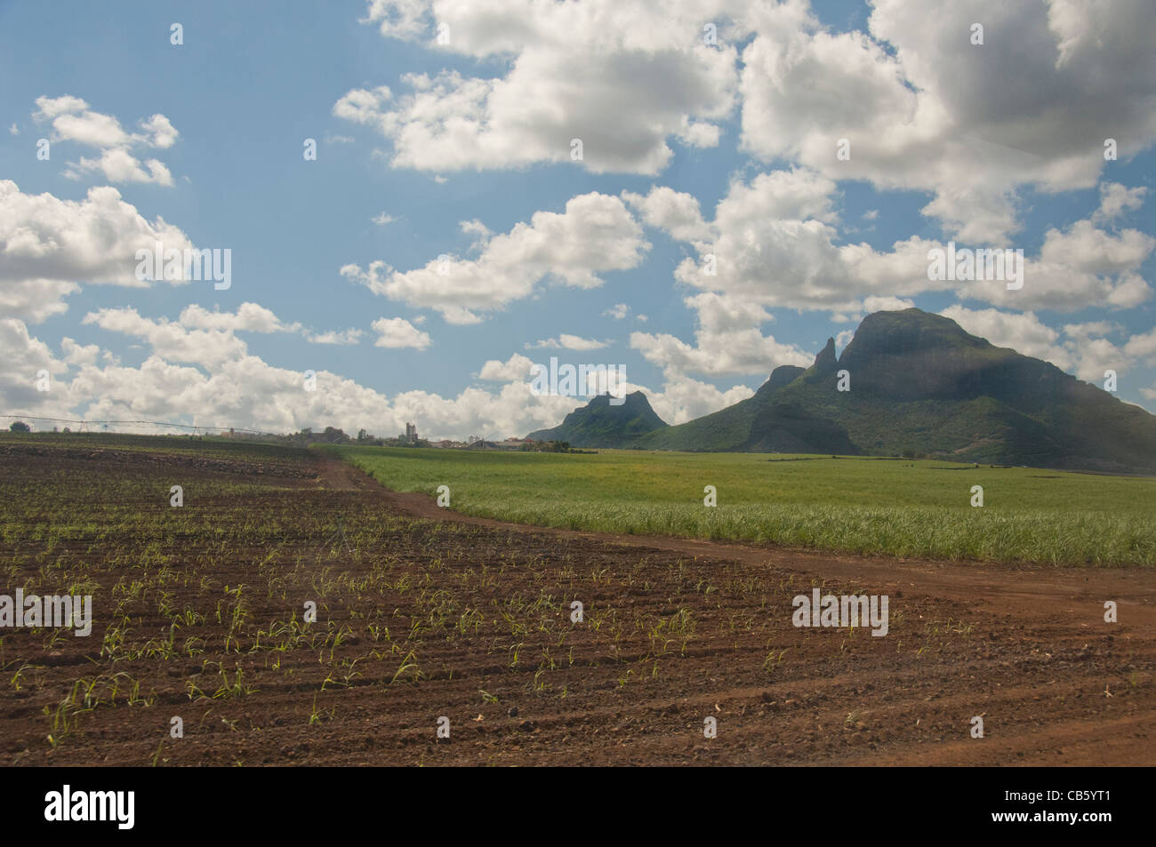 Island of Mauritius. Rugged volcanic countryside with typical sugar ...