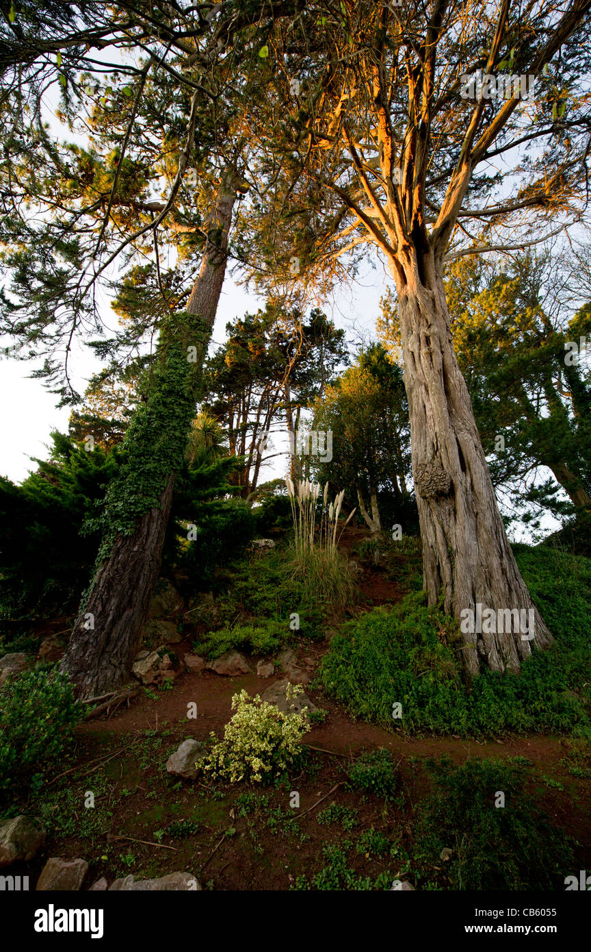Vintage oldway mansion hi-res stock photography and images - Alamy