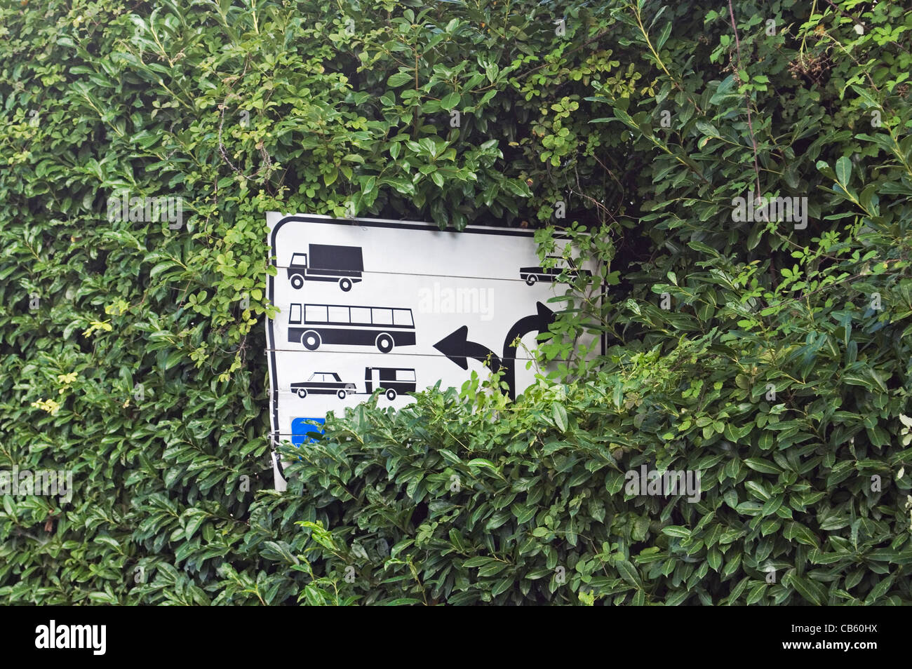 Traffic Sign partially covered by vegetation Stock Photo - Alamy