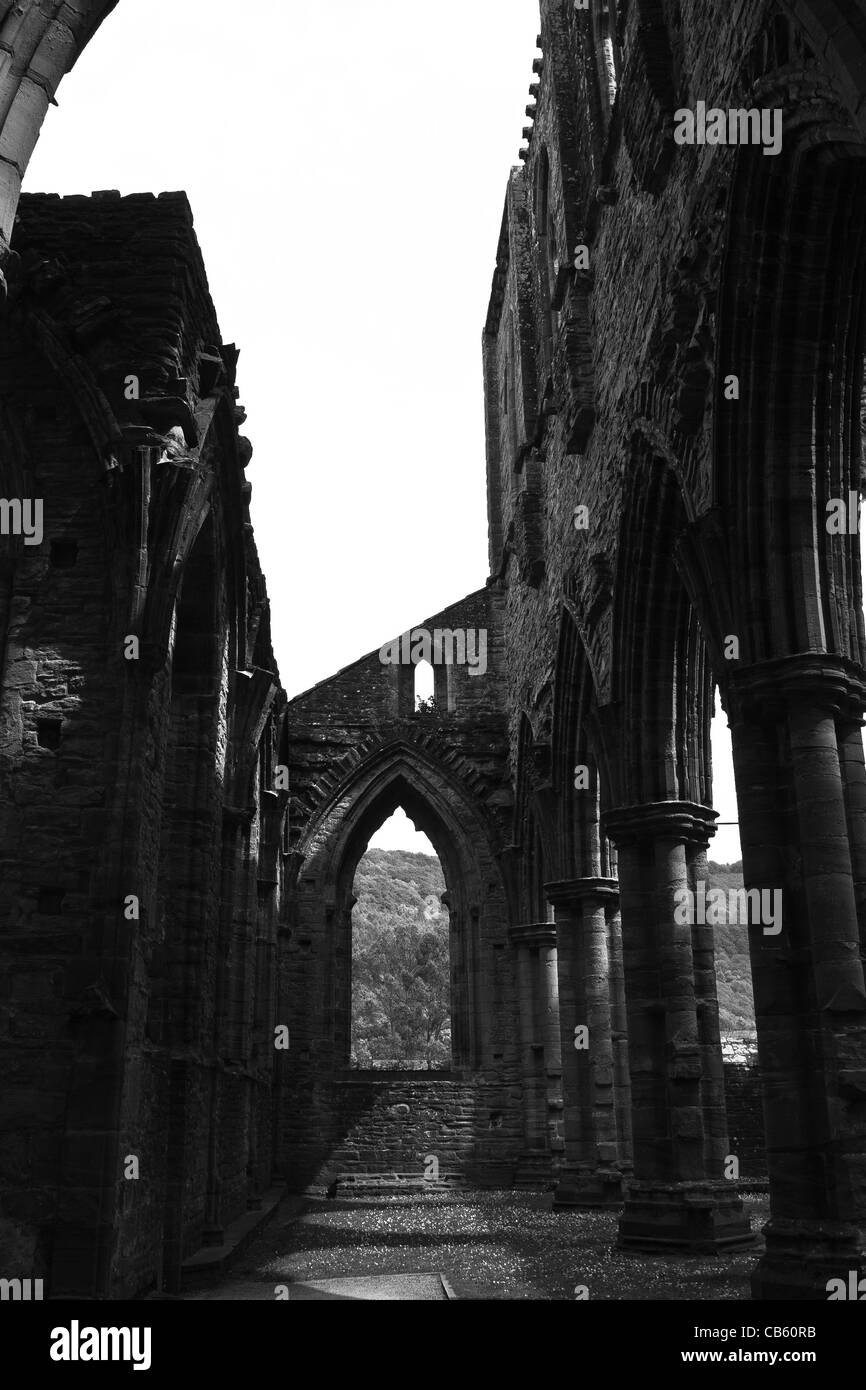 Abbey dean Black and White Stock Photos & Images - Alamy