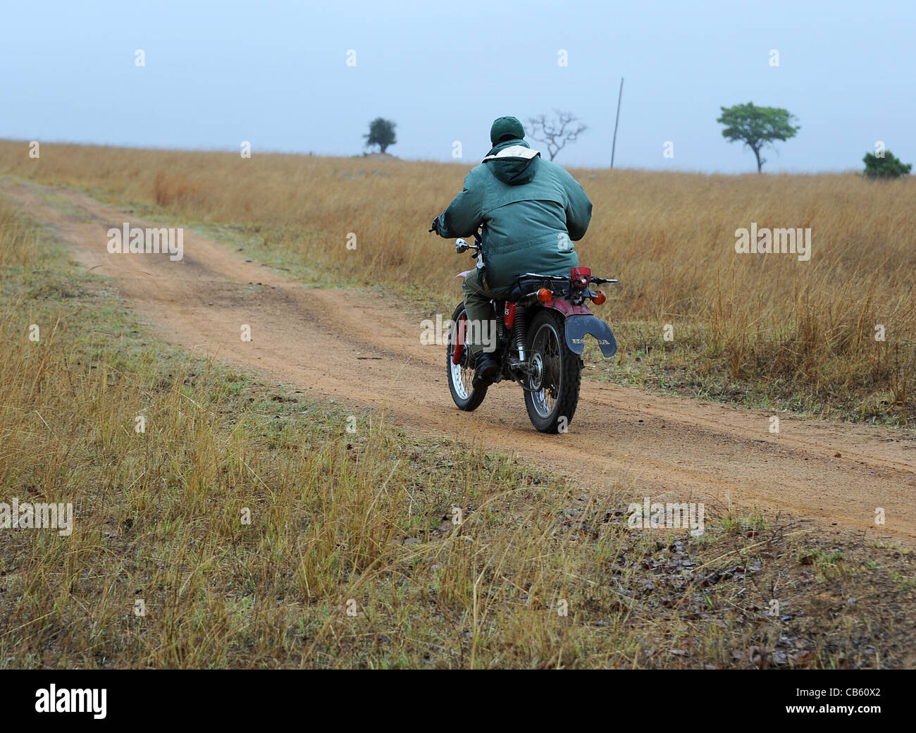 Territory of safari park hi-res stock photography and images - Alamy
