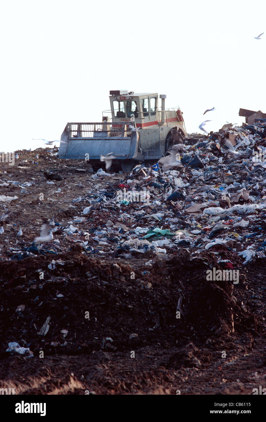 Heavy equipment working at a trash and garbage landfill site Stock ...