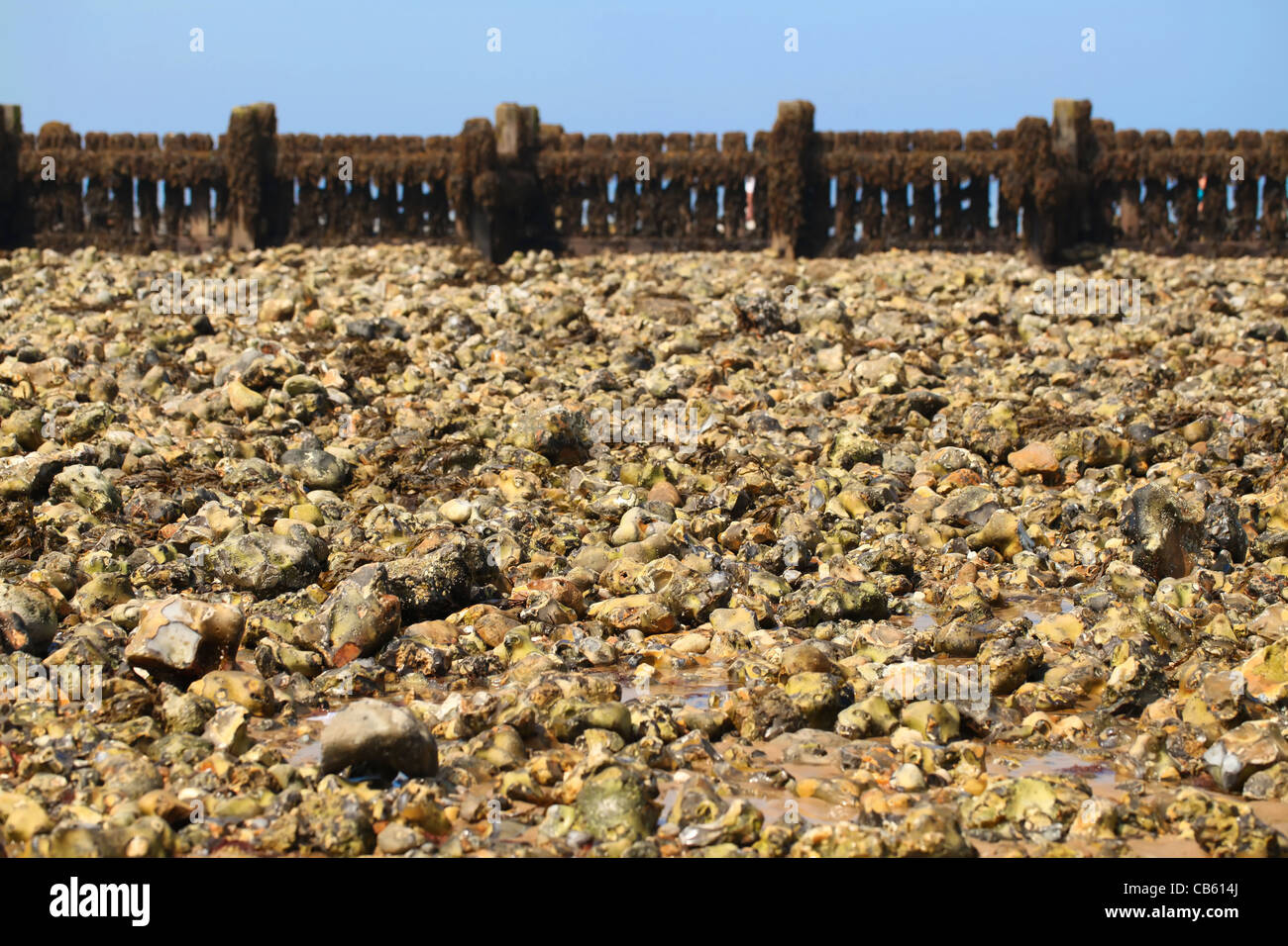 Exposed Reefs High Resolution Stock Photography and Images - Alamy