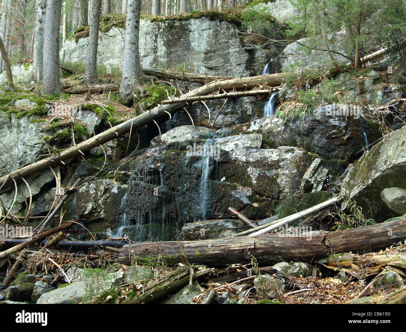 stream / woodstream / foreststream at Arber mountain / Bach / Waldbach ...