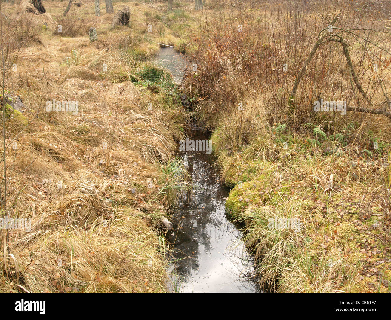 highmoor, hill moor, continental raised bag / Arracher Hochmoor ...
