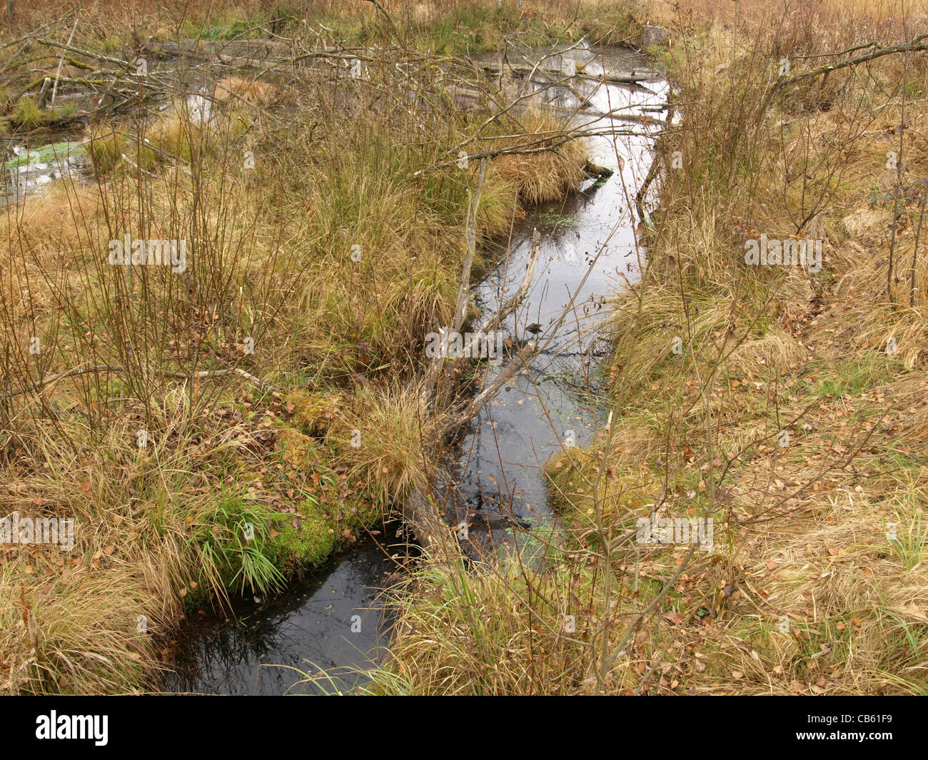 highmoor, hill moor, continental raised bag / Arracher Hochmoor ...
