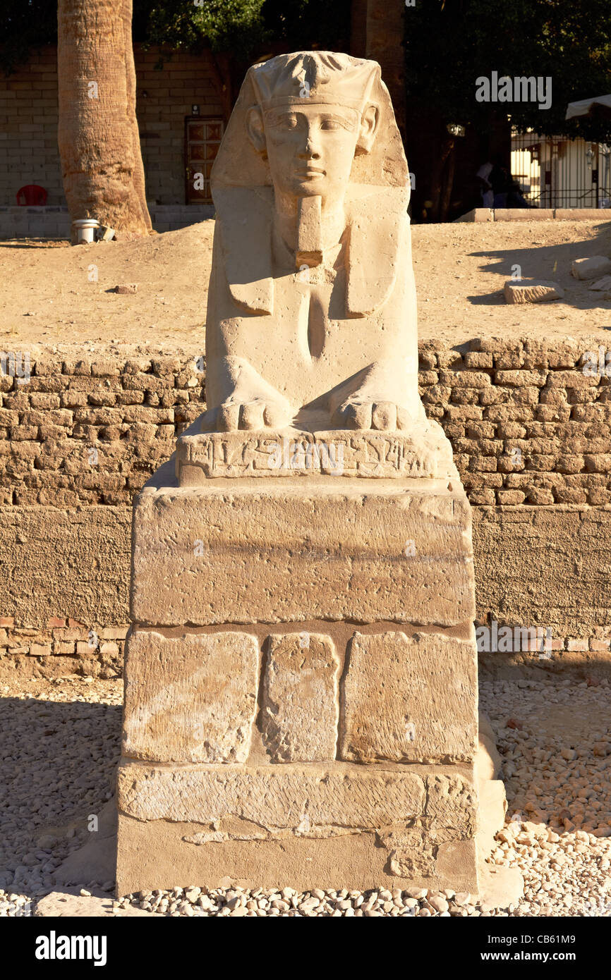 Closeup of one of the Sphinxes in ceremonial entrance way to Luxor ...