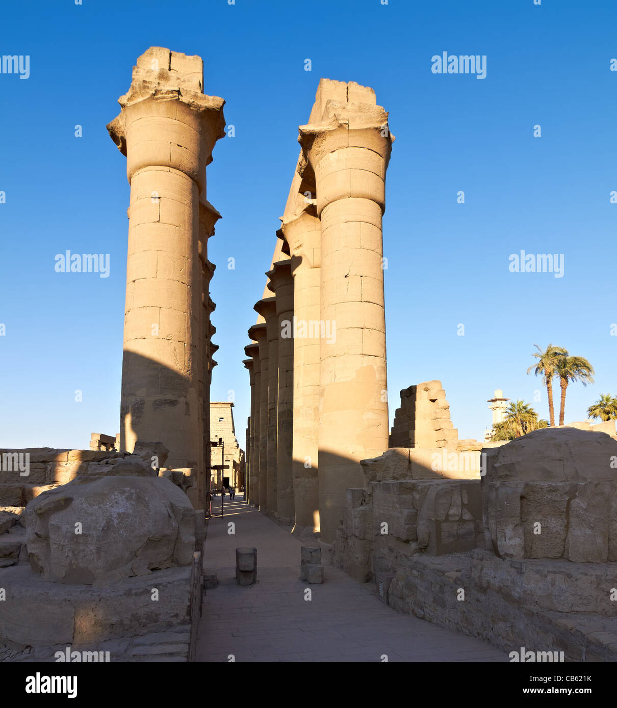 Colonnade of the Luxor temple in Egypt at dawn Stock Photo - Alamy