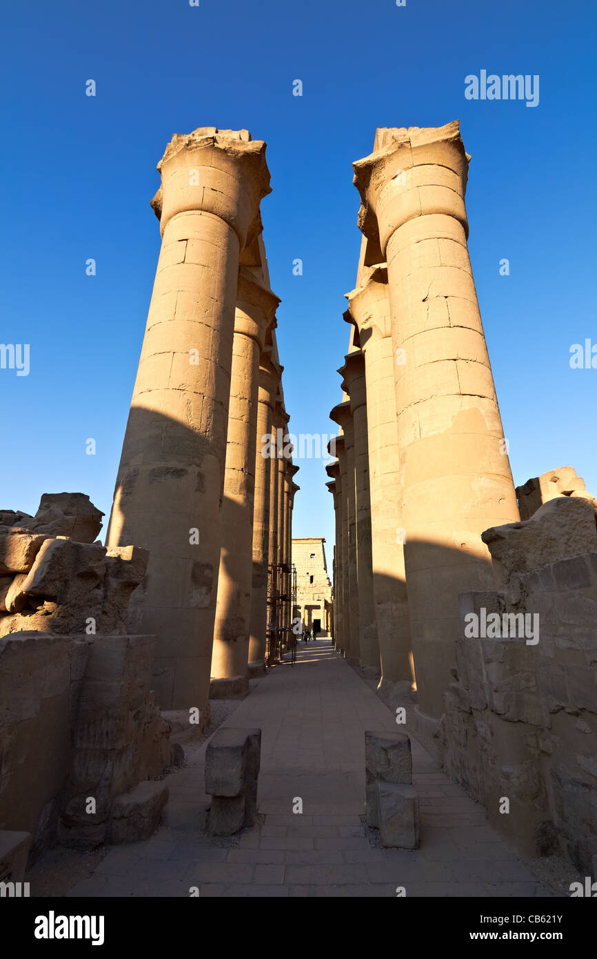 Colonnade of the Luxor temple in Egypt at dawn Stock Photo - Alamy