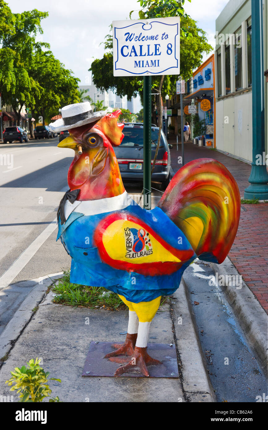 Cockerel under a street sign for Calle Ocho (SW 8th Street) in Little ...