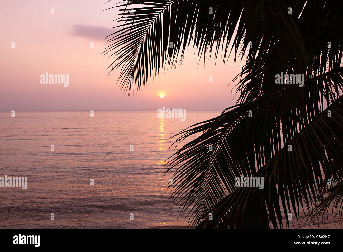 Tropical ocean sunset koh samui island hi-res stock photography and ...