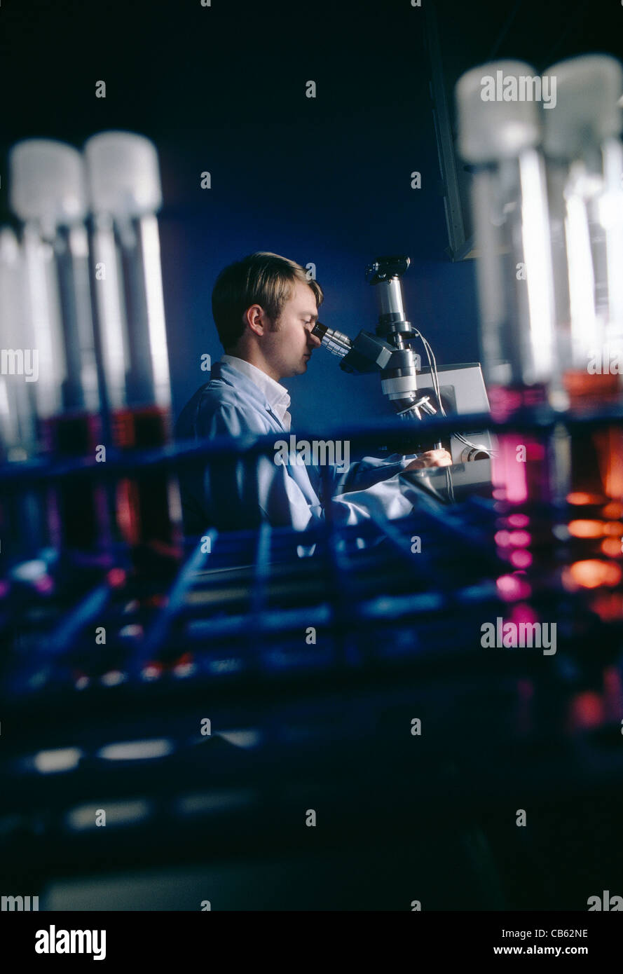Scientist at a microscope in the quality control laboratory of a water ...
