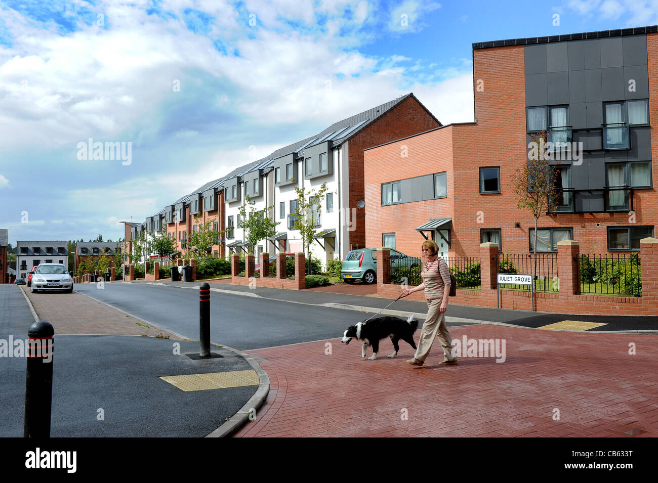 Woman walking dog on modern housing site in Wolverhampton England Uk ...