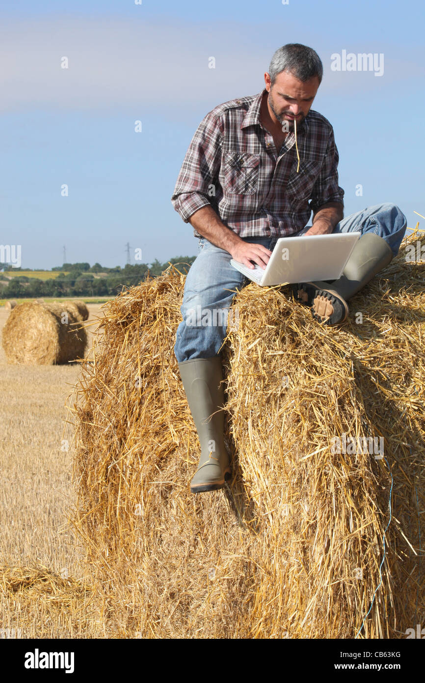 Using haystack hi-res stock photography and images - Alamy