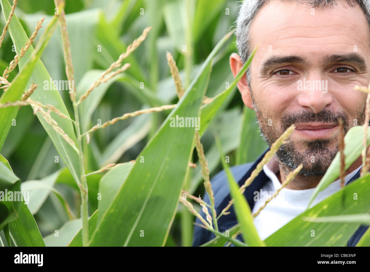 farmer working in the field Stock Photo - Alamy