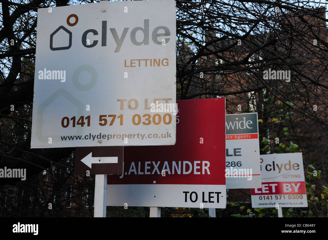 Property to let sign posts all in a row Stock Photo - Alamy