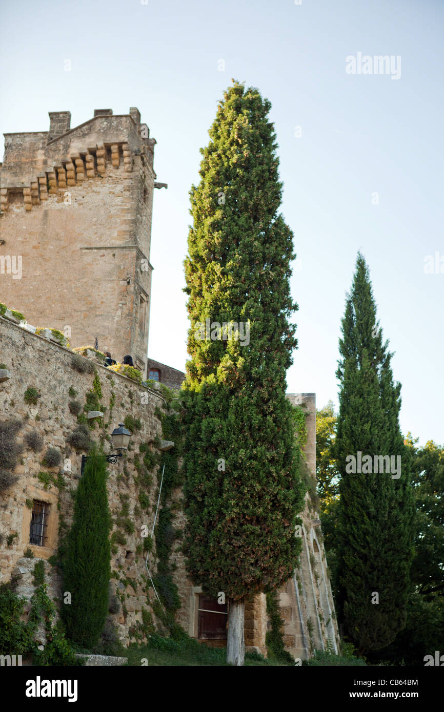 Tall cypress trees grow along the side of an old building in Provence ...