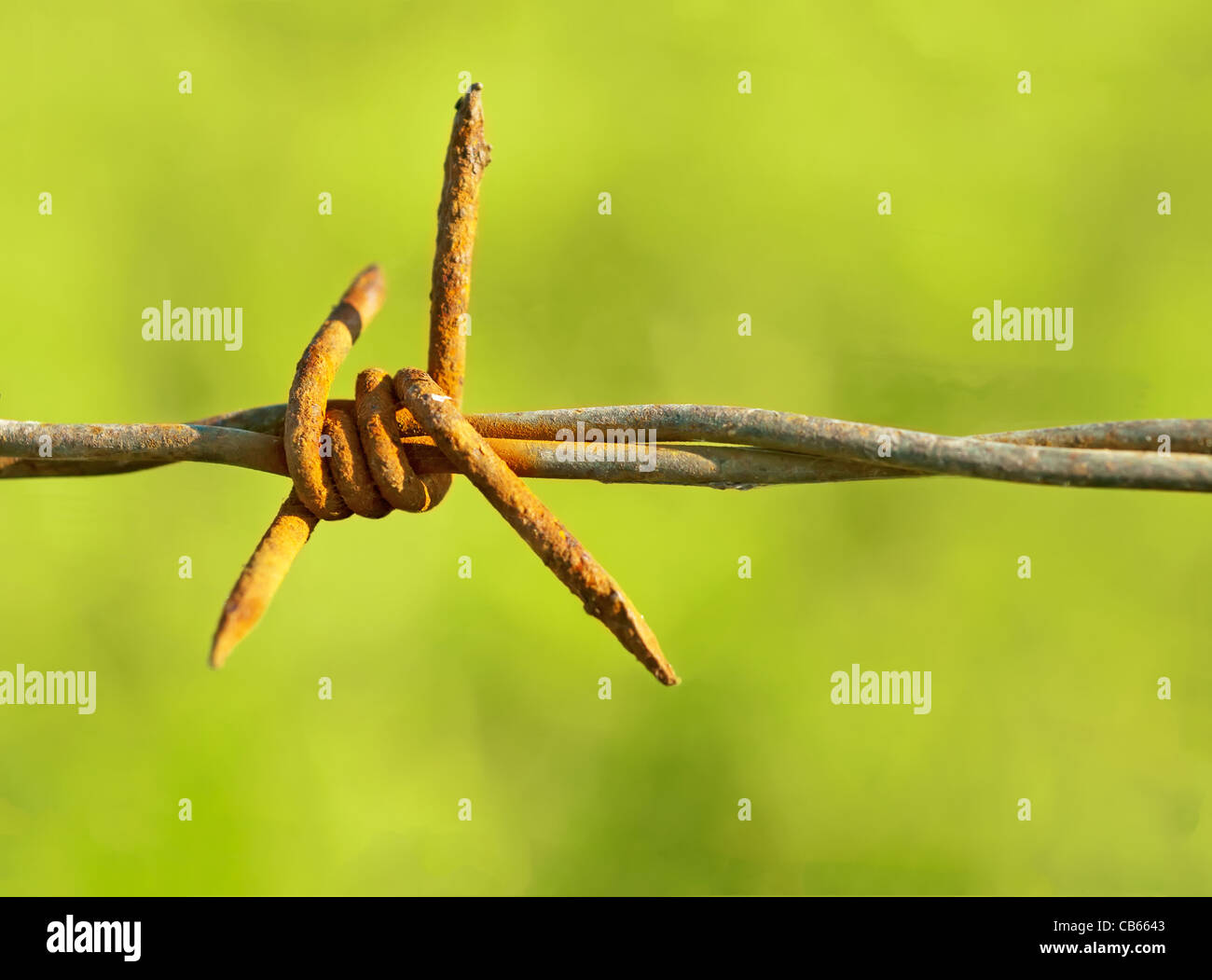 Old barbed wire Stock Photo - Alamy