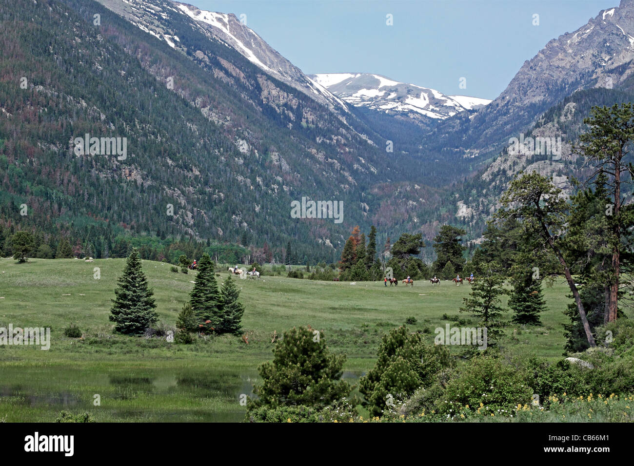 Riding across an alpine meadow Stock Photo - Alamy