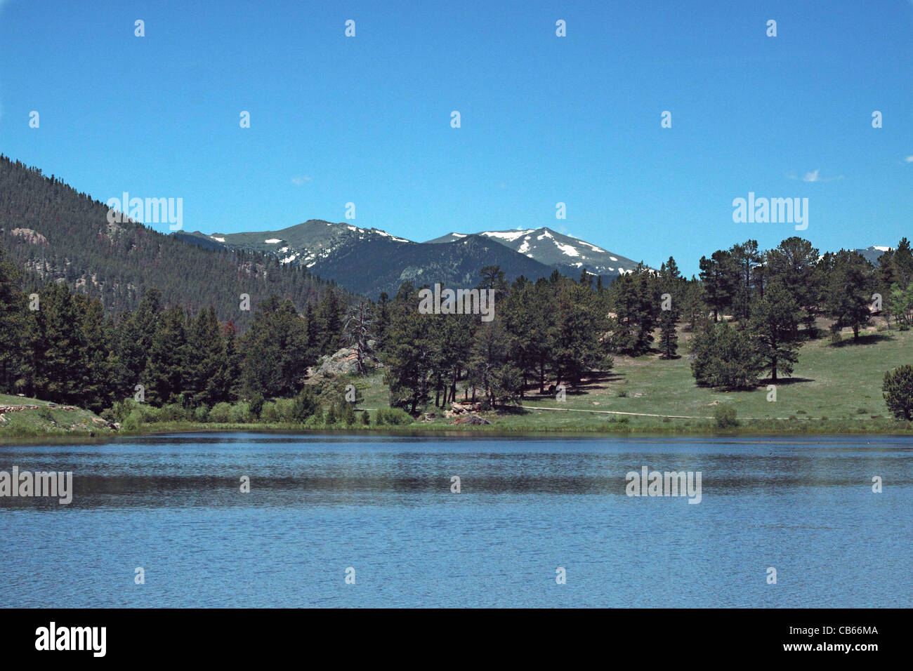 Lily Lake, Rocky Mountain National Park Stock Photo - Alamy