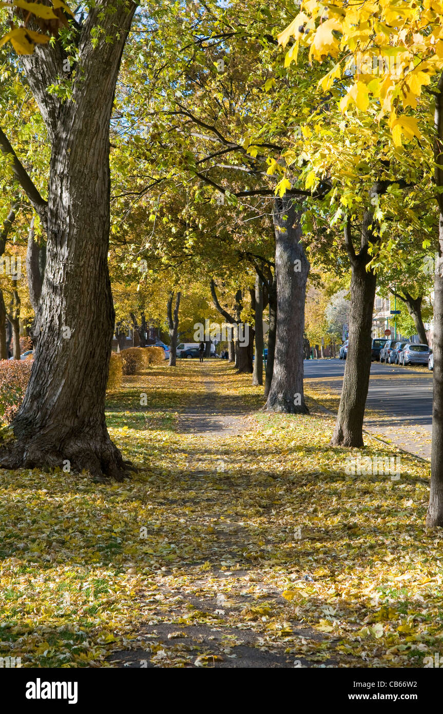 Outremont montreal canada hi-res stock photography and images - Alamy